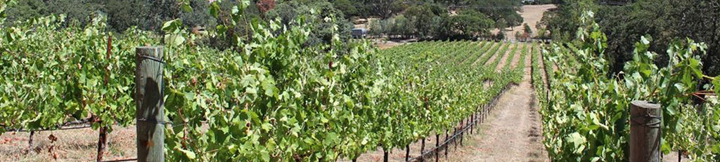 Ashton Vineyard – CellarStash Wine Marketplace Inc.